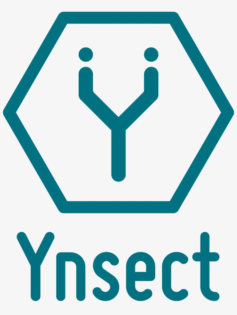 30 Oct Transparent PNG - 806x1011 - Free Download on NicePNG