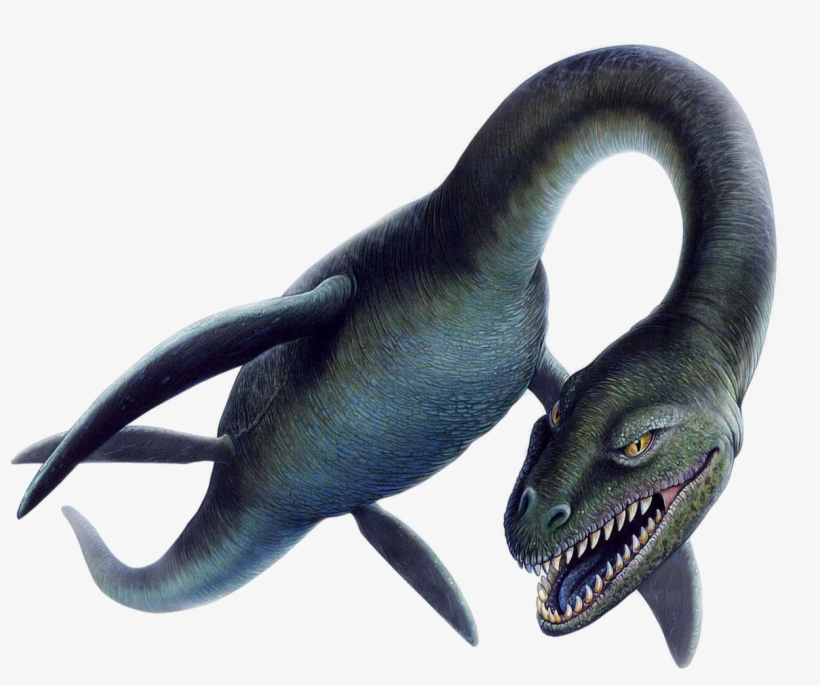 Spelling City - Loch Ness Monster Head Transparent PNG - 1279x1048 ...