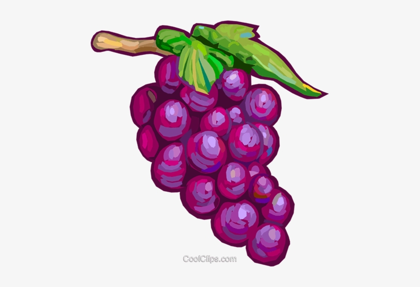 Red Grapes Royalty Free Vector Clip Art Illustration - Rote Trauben ...
