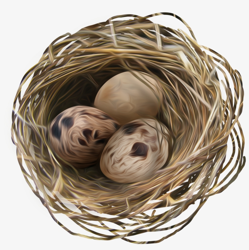 Nid Png Transparent PNG - 1400x1343 - Free Download on NicePNG