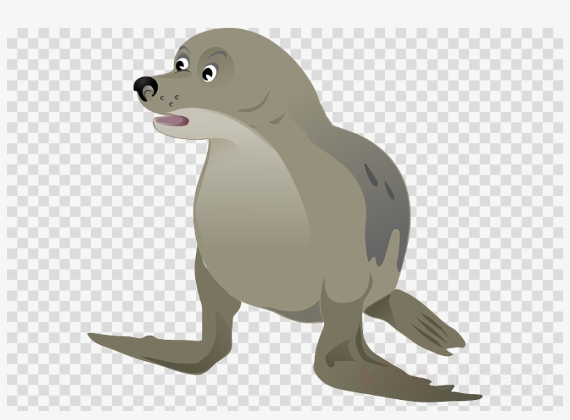 Sea Dog Cartoon Clipart Sea Lion Dog Clip Art Transparent PNG - 900x620 ...