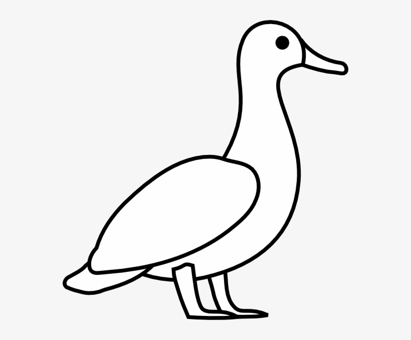Duck Outline Clip Art - Clip Art Transparent PNG - 570x598 - Free ...