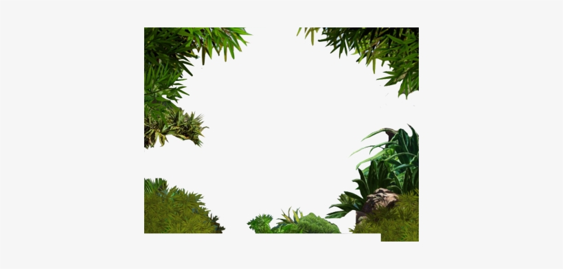 Jungle Border Png Transparent Image - Jungle Transparent Transparent ...