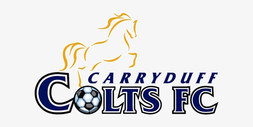 Carryduff Colts Badge Transparent PNG - 600x331 - Free Download on NicePNG