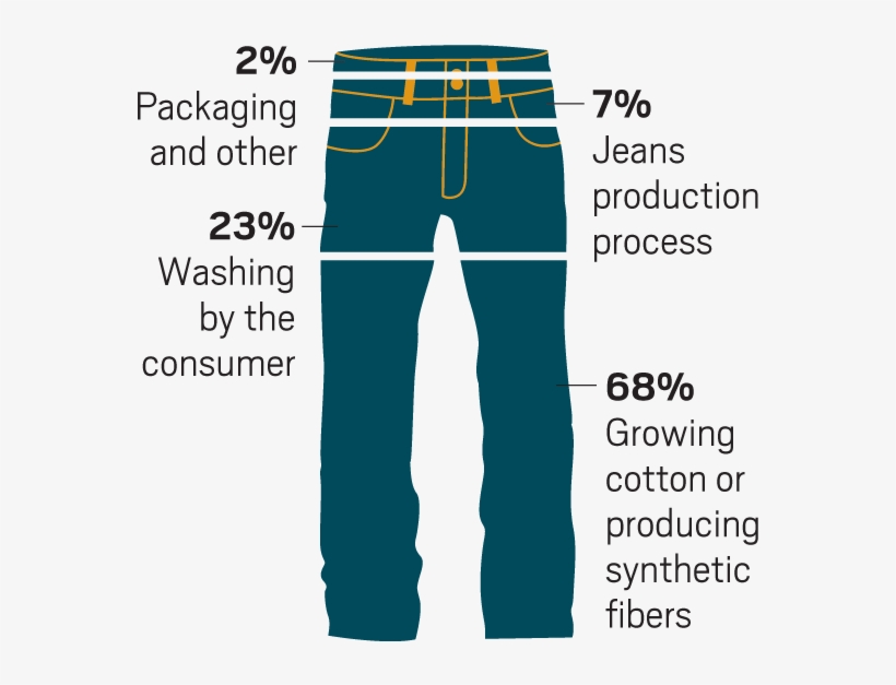 Water Used During The Life Cycle Of A Pair Of Levi's - Carbon Footprint ...