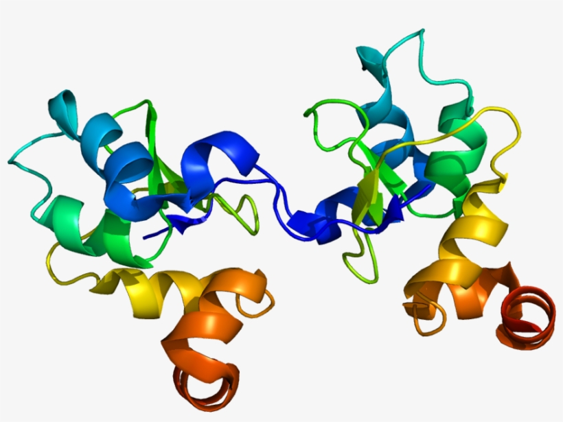 Liston Png Transparent PNG - 908x652 - Free Download on NicePNG