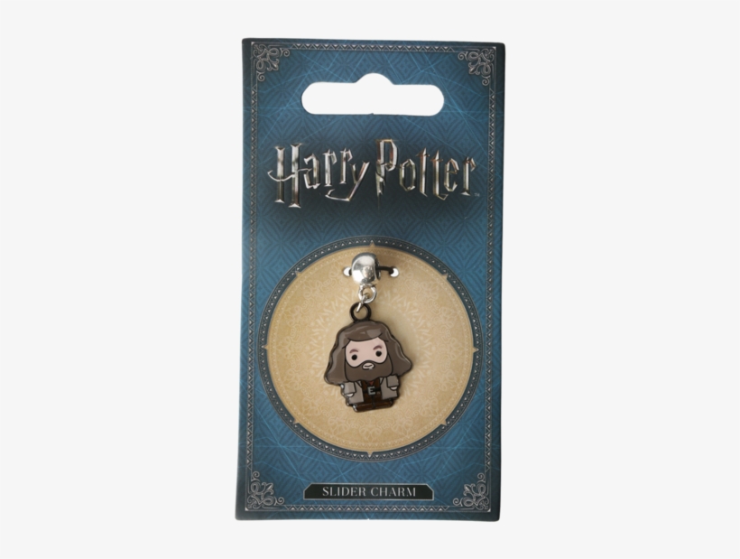 Hagrid Png Transparent PNG - 528x600 - Free Download on NicePNG