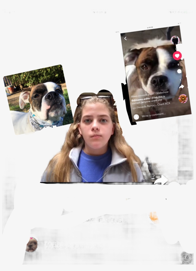 Report Abuse Transparent PNG - 1024x1365 - Free Download on NicePNG