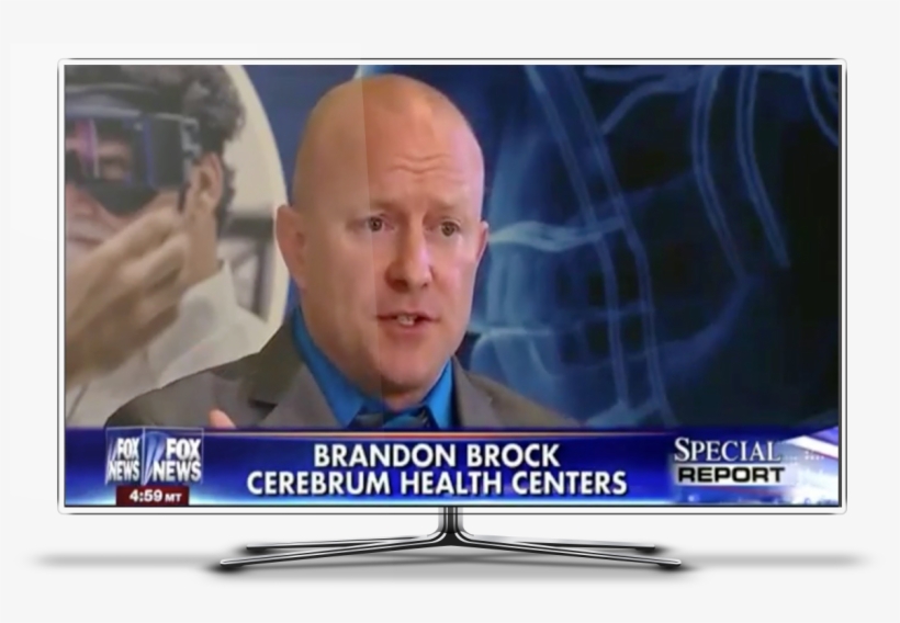 Brock Png Transparent PNG - 1174x757 - Free Download on NicePNG