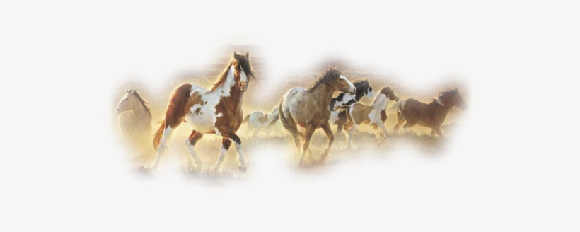 Western-06 - Png Western Transparent PNG - 540x248 - Free Download on ...