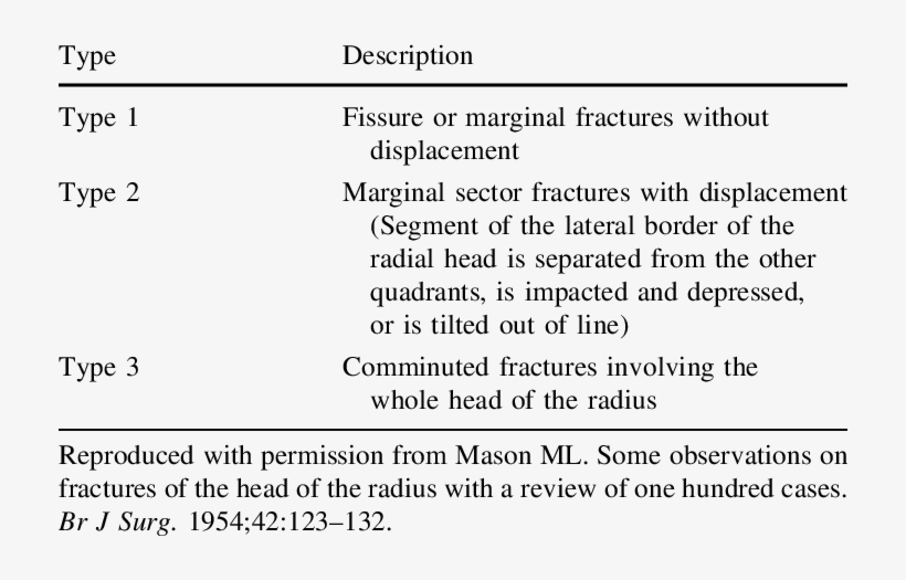 Mason Classification Transparent PNG - 714x445 - Free Download on NicePNG
