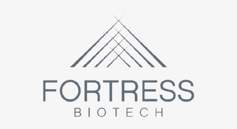 Fortress Png Transparent PNG - 834x522 - Free Download on NicePNG