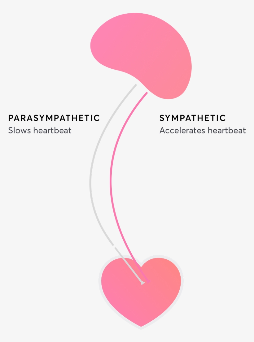 Putting It All Together Transparent PNG - 1600x1060 - Free Download on ...