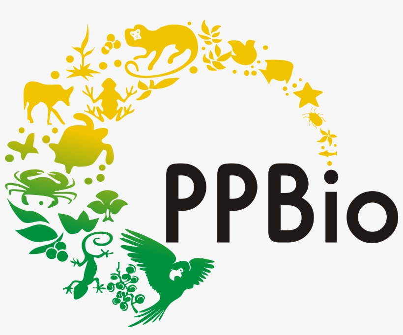 Logo Ppbio Formato Png Em Fundo Transparente Transparent PNG ...