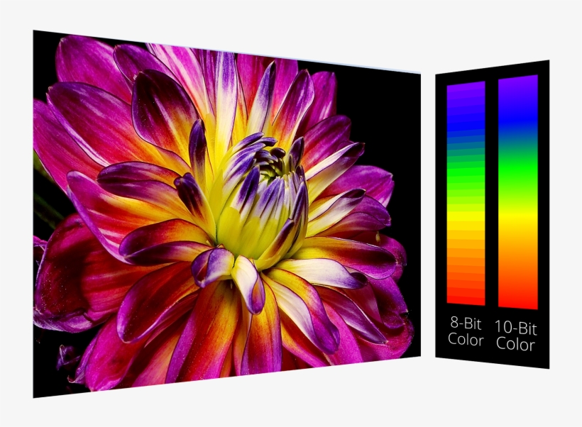 Incredible Color Accuracy Transparent PNG - 800x533 - Free Download on ...