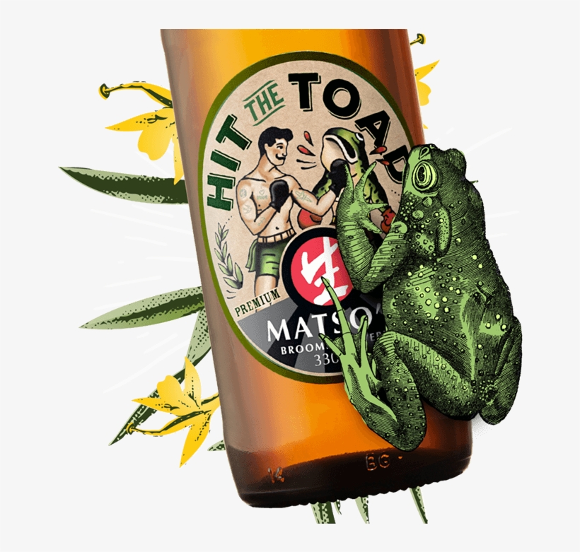 Toad Png Transparent PNG - 700x700 - Free Download on NicePNG