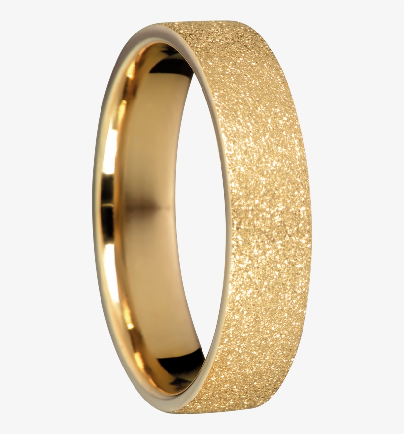Bering 557 29 X2 Transparent PNG - 800x800 - Free Download on NicePNG