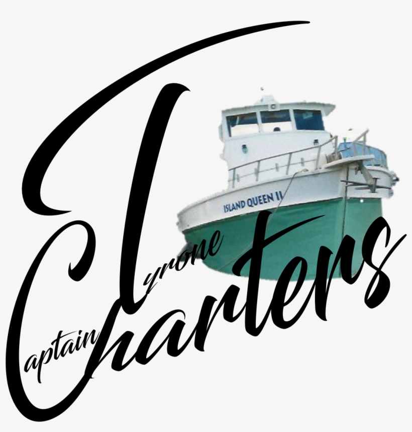 Tyrone Png Transparent PNG - 1423x1173 - Free Download on NicePNG