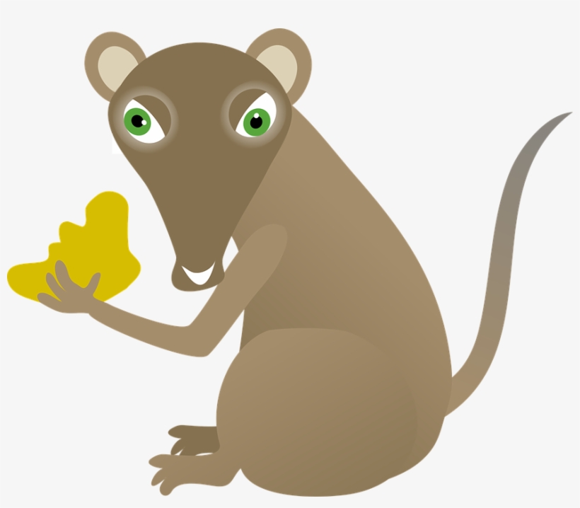 Raton Dibujo Png Transparent PNG - 870x720 - Free Download on NicePNG