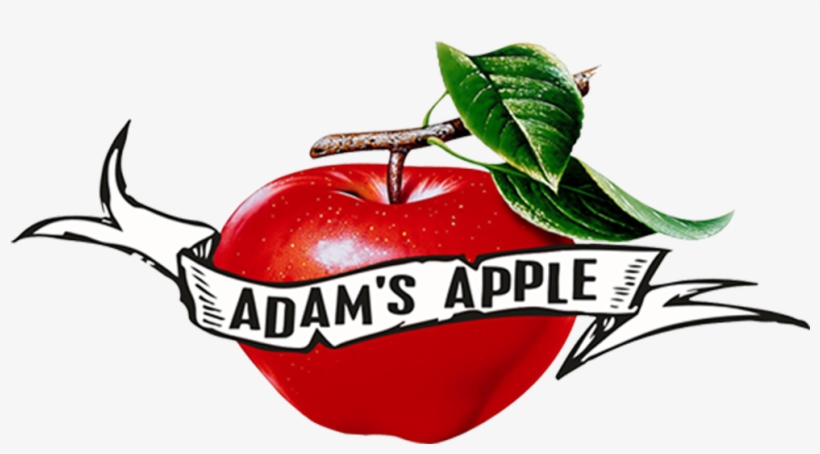 Adams Apple Llc Transparent PNG - 1000x500 - Free Download on NicePNG