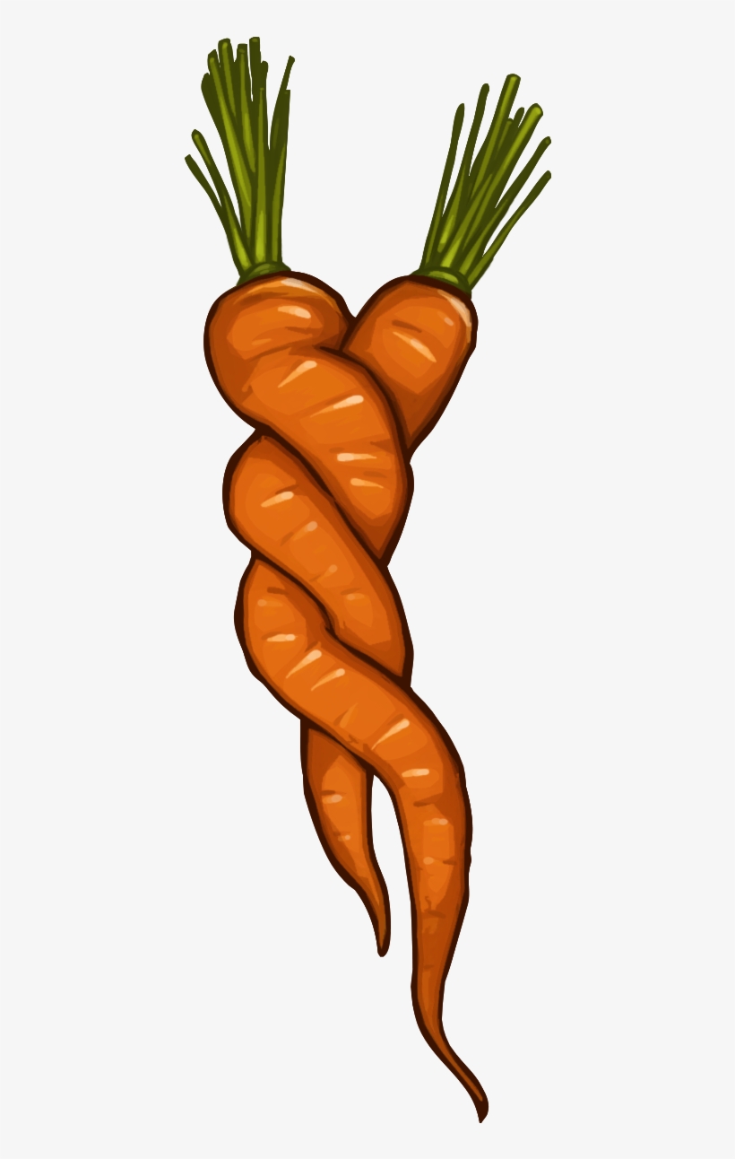 Farm Clipart Farmer's Market - Carrot Transparent PNG - 582x1324 - Free ...