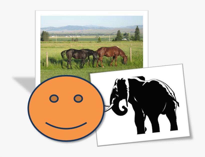 Working Animal Transparent PNG - 752x572 - Free Download on NicePNG