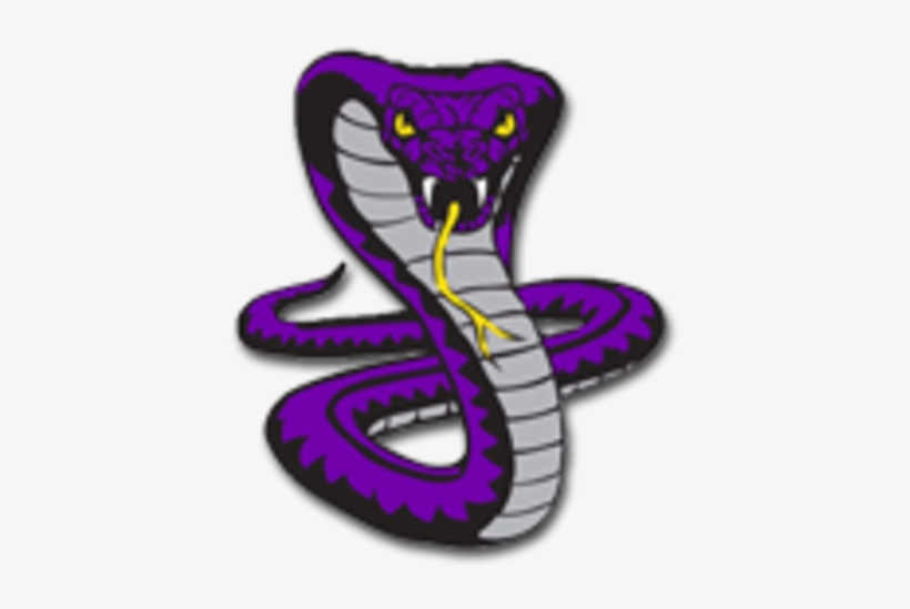 Purple Cobras Logo