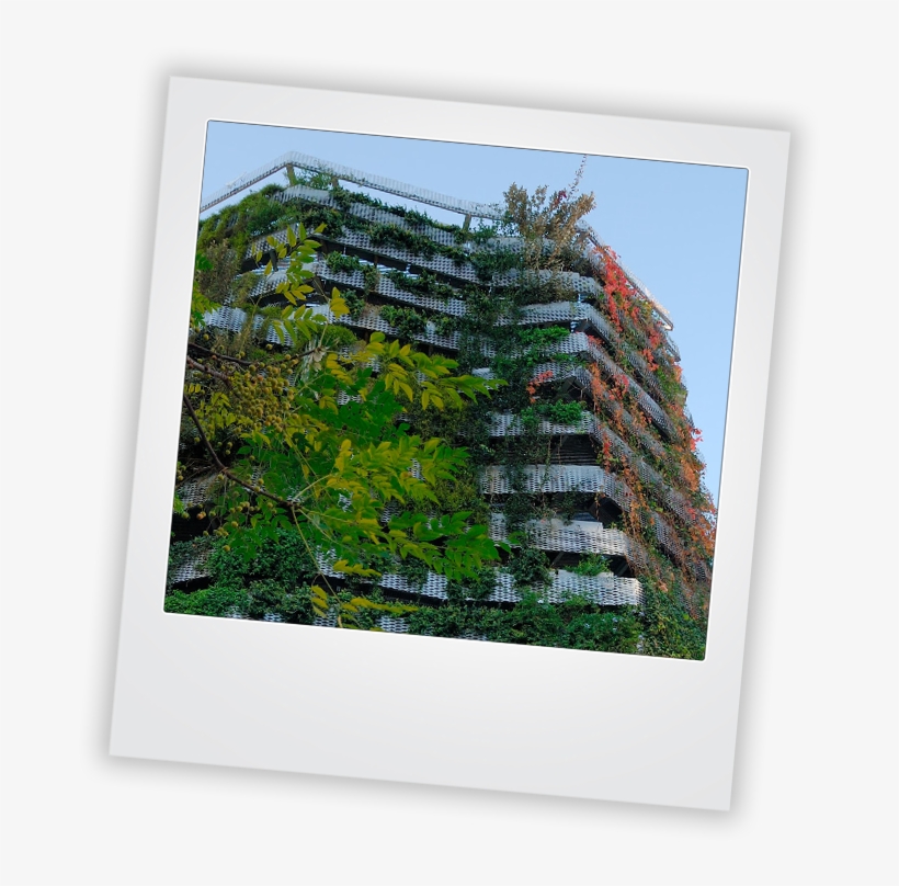 Vertical Gardens - Picture Frame Transparent PNG - 707x745 - Free ...