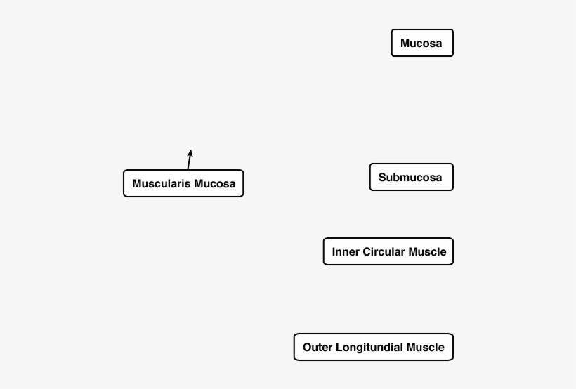 Colon Png Transparent PNG - 1024x768 - Free Download on NicePNG