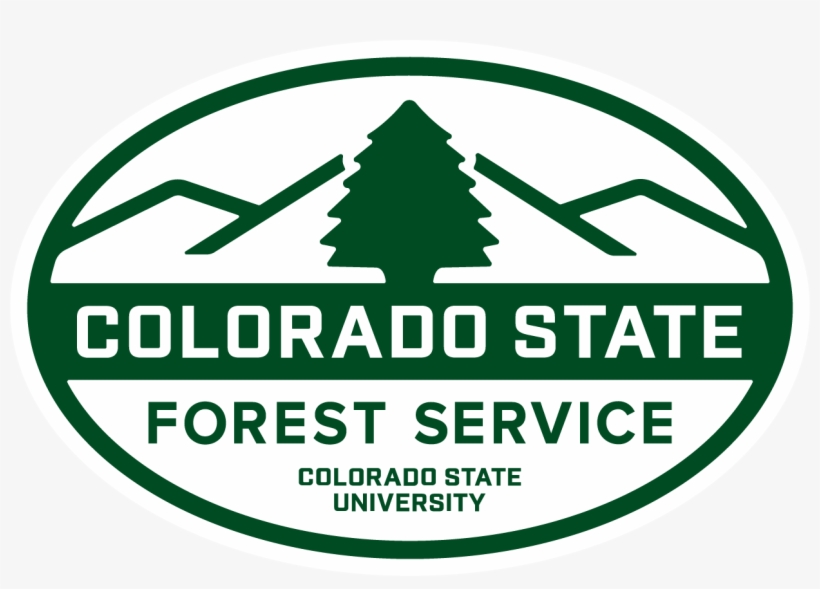 Colorado Forest Service Logo Transparent PNG - 1242x833 - Free Download ...