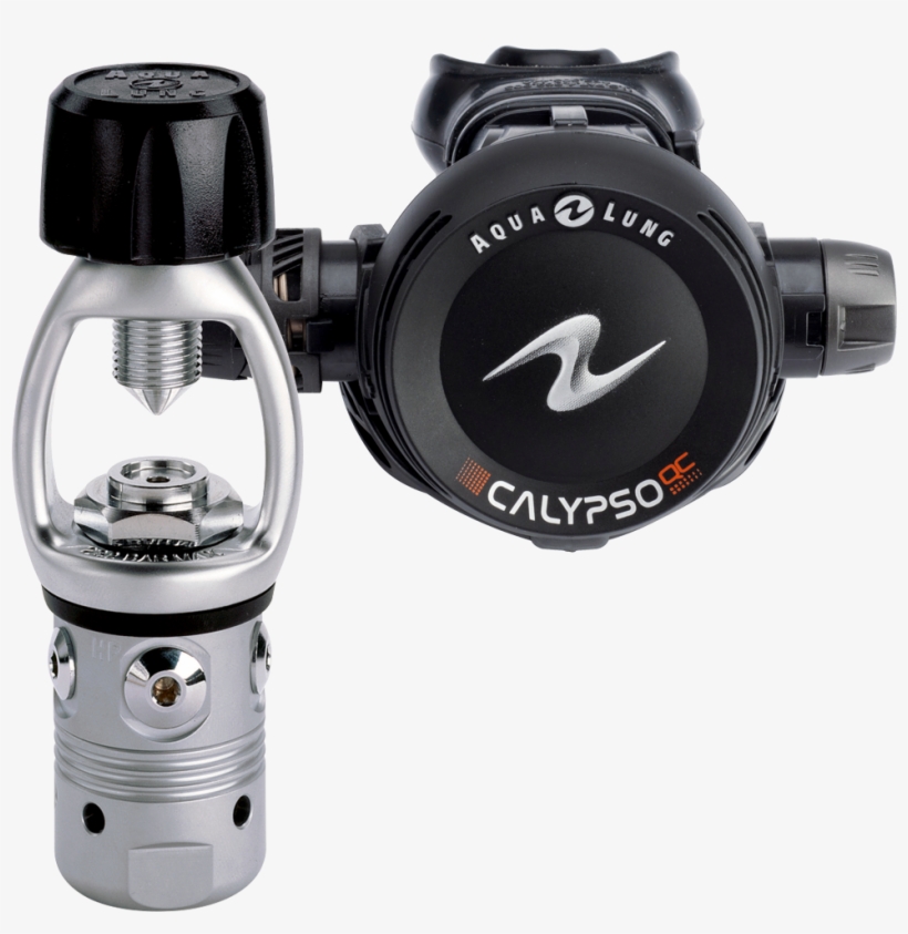 Calypso Transparent PNG - 1000x1000 - Free Download on NicePNG