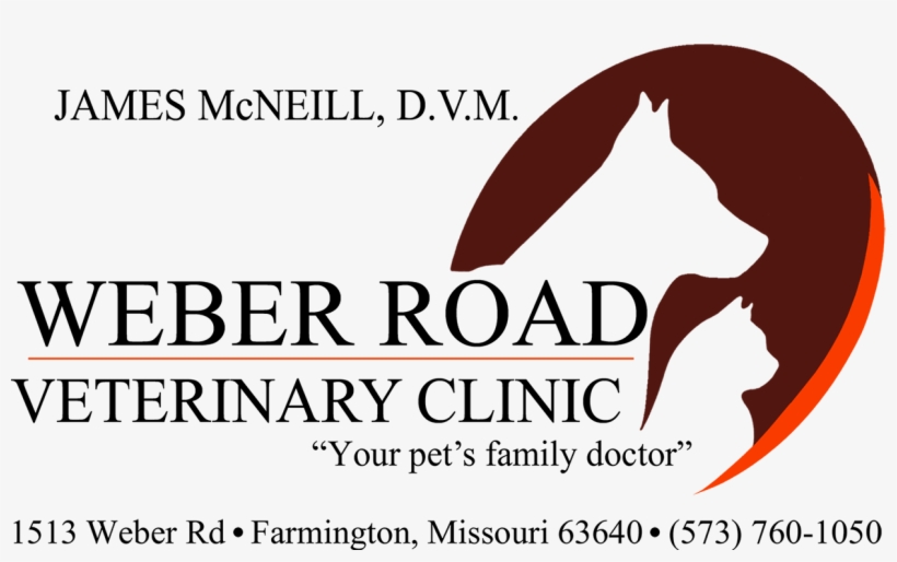 Weber Logo Png Transparent PNG - 1237x716 - Free Download on NicePNG