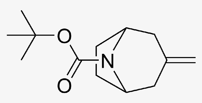 Octane Png Transparent PNG - 800x800 - Free Download on NicePNG