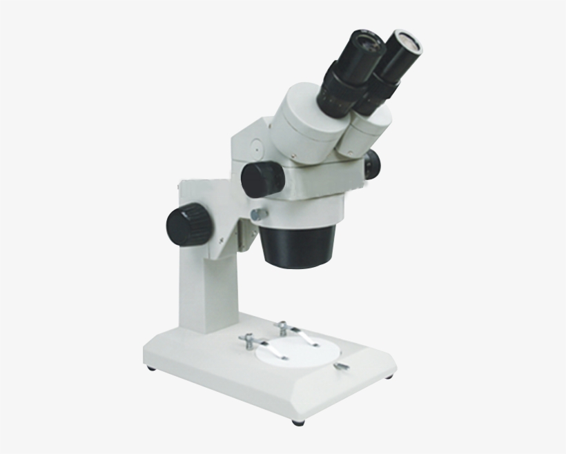 Microscope Png Transparent PNG - 800x800 - Free Download on NicePNG