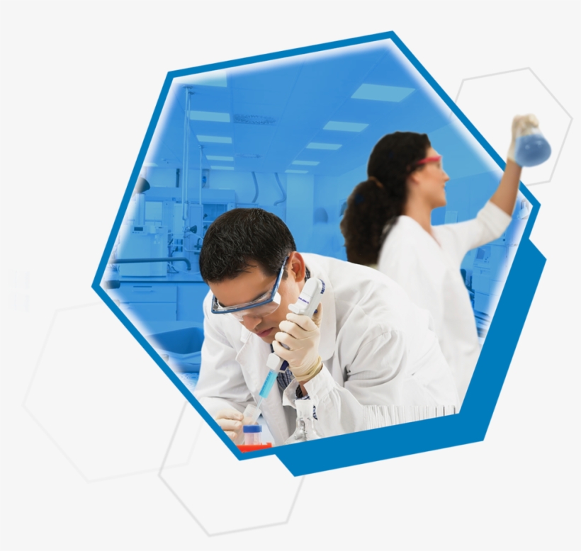 Labtox Workers Transparent PNG - 1000x1000 - Free Download on NicePNG