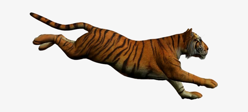 Tiger Running With White Background Transparent PNG - 852x480 - Free ...