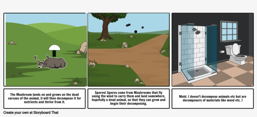 Fungi Comic Strip - Storyboard Transparent PNG - 1165x488 - Free ...