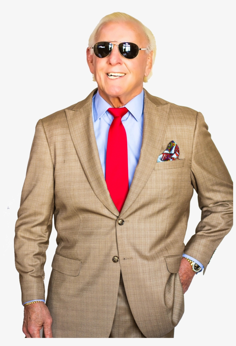 Ric Flair In Suit Transparent PNG - 1197x1734 - Free Download on NicePNG