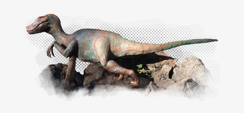 We Have Inventory And Activities Perfect For People - Lesothosaurus ...