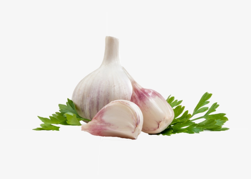 Download Garlic Png - HD Transparent PNG - NicePNG.com