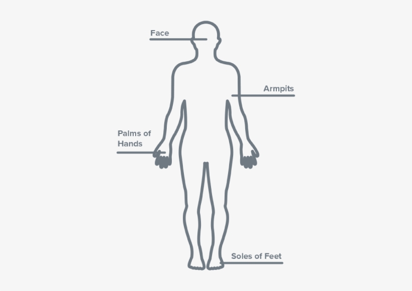 What Is Sweat Body - Perspiration Transparent PNG - 356x500 - Free ...