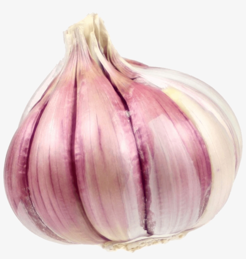 Growing Garlic - One Garlic Transparent PNG - 939x933 - Free Download ...