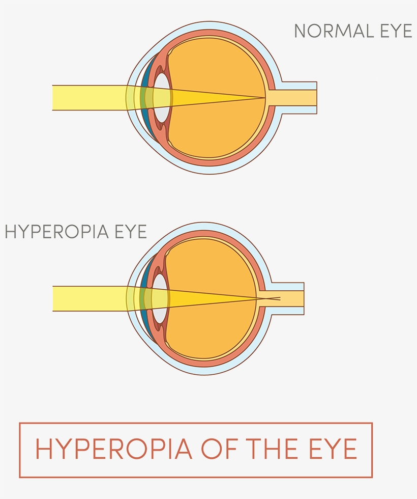 Illustration Of Human Eye - Circle Transparent PNG - 800x900 - Free ...