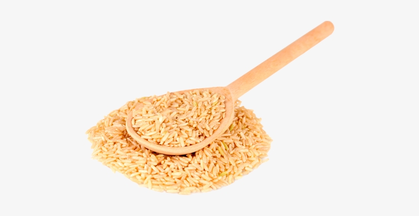 Rice Clipart Brown Rice - Alphabet Pasta Transparent PNG - 800x400 ...