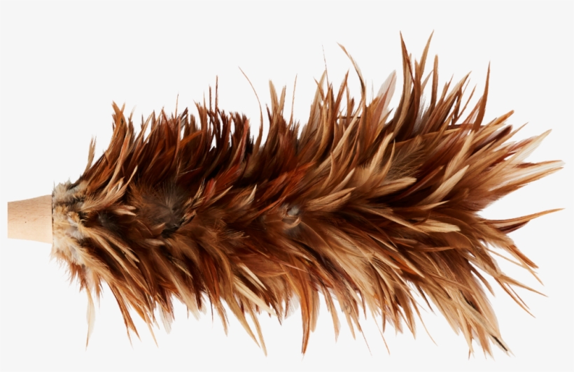 Natural Feather Duster Transparent PNG - 1024x1024 - Free Download on ...
