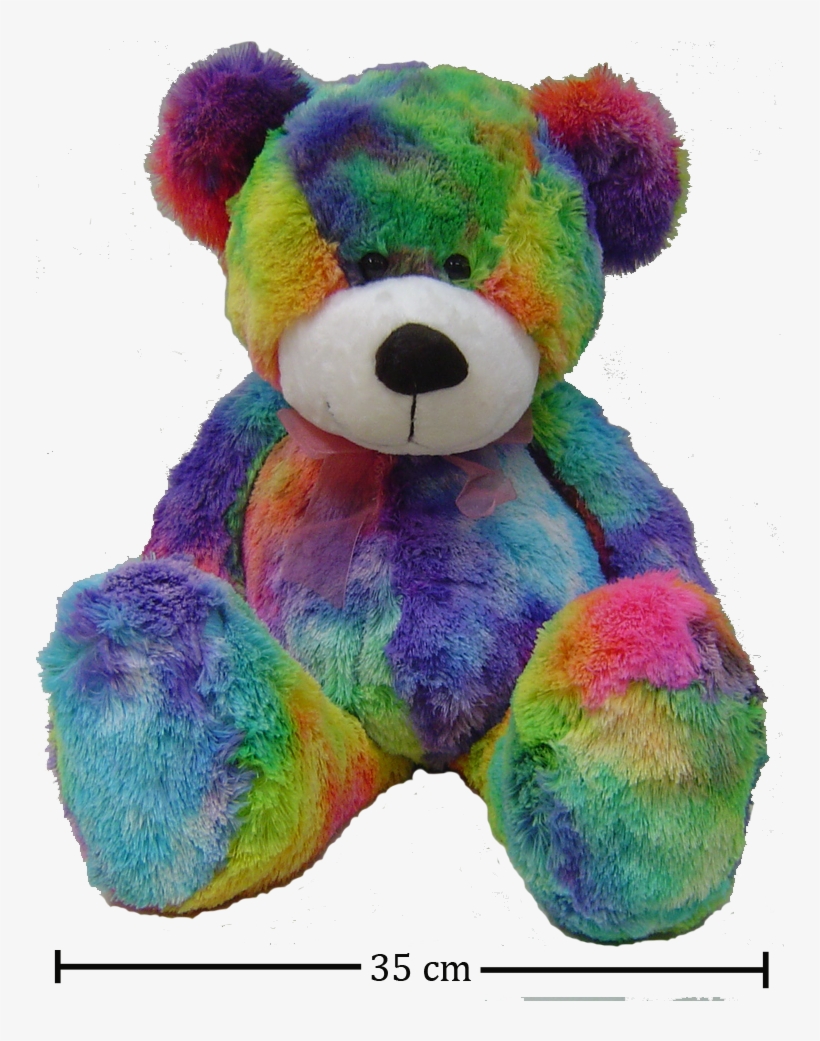 62 Cm Rainbow Bear - Teddy Bear Transparent PNG - 960x960 - Free ...