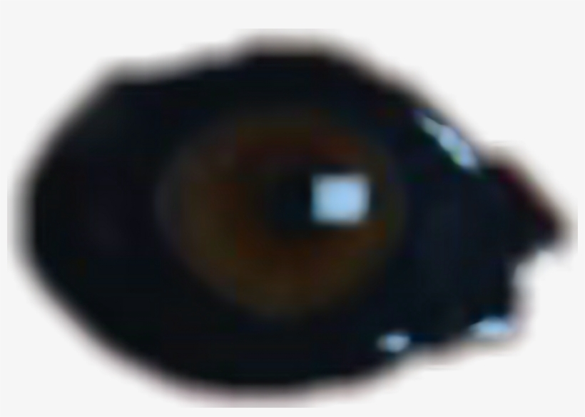 Eye Sticker Transparent PNG - 1024x680 - Free Download on NicePNG