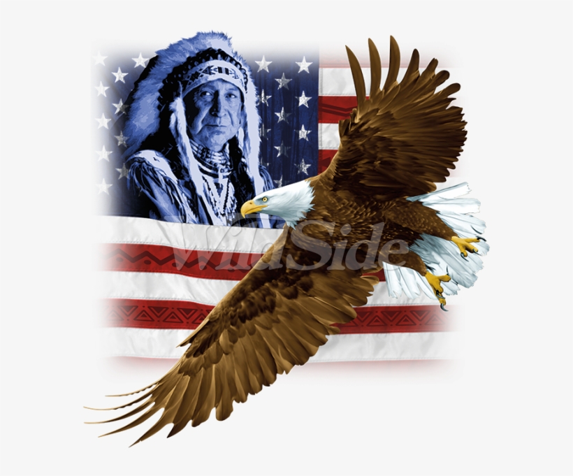 Eagle Flag Picture - Hawk Transparent PNG - 600x600 - Free Download on ...