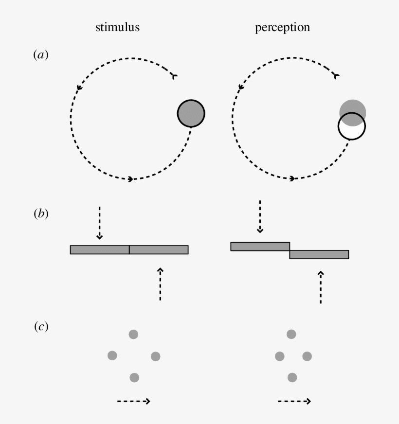 Schematic Diagram Of The Three Experiments - Diagram Transparent PNG ...