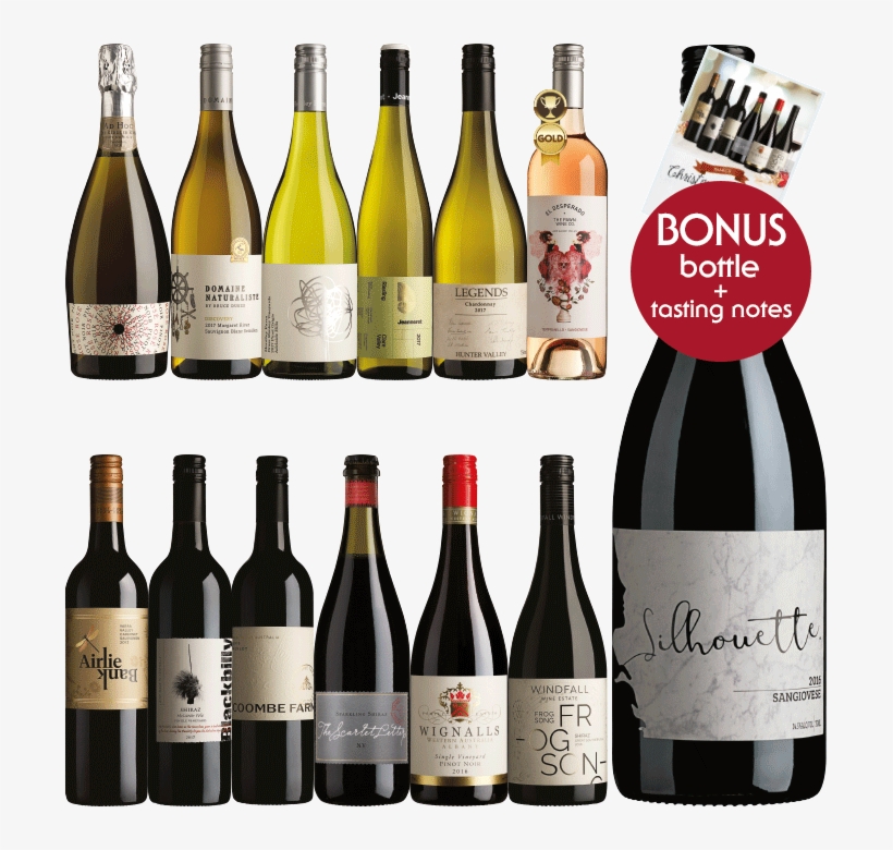 Panel's Christmas Selection Mixed Dozen With Bonus - Wine Bottle ...